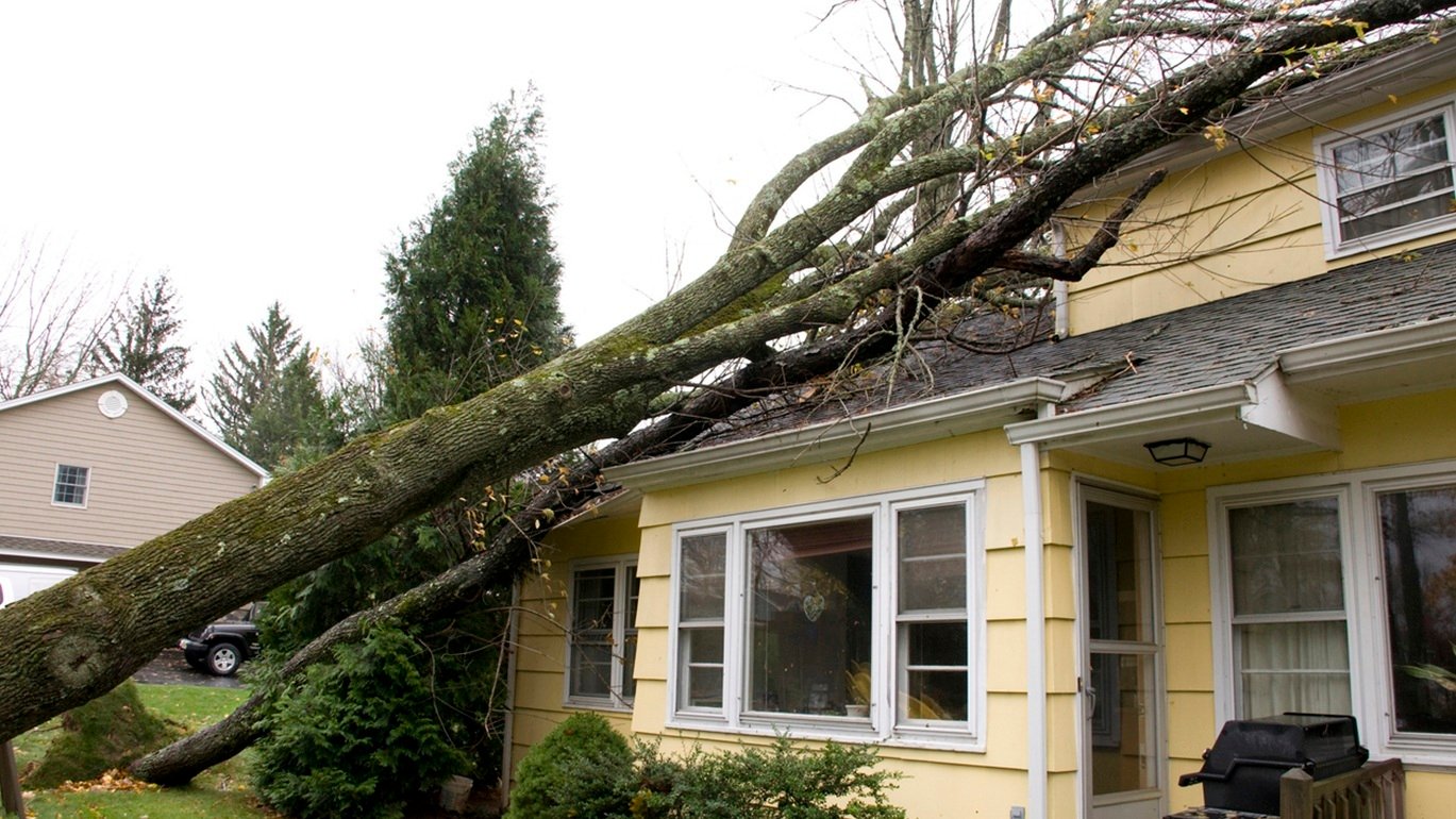 Is Your Homeowner's Policy Enough? Hidden Gaps in Flash Flood, Wind ...